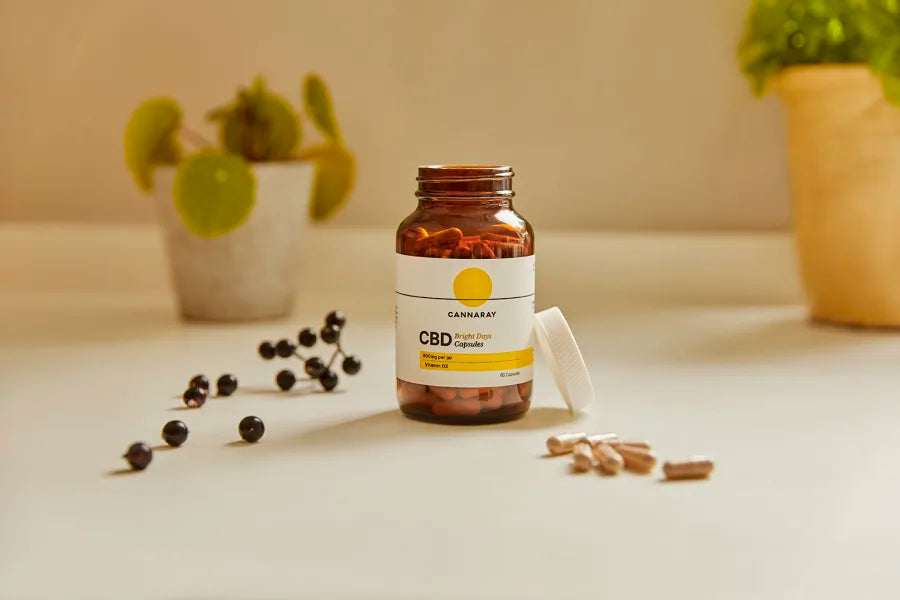 CBD Bioavailability and Why it Matters | Cannaray CBD – Cannaray Wellness